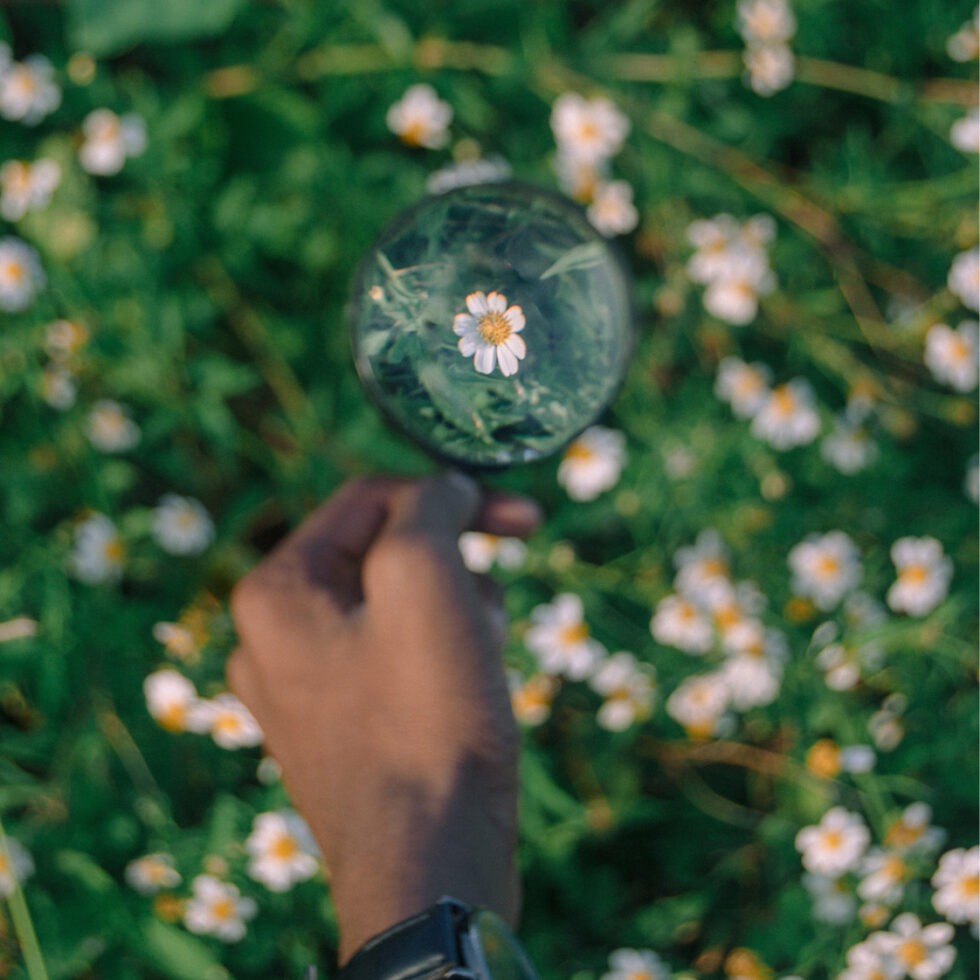 How to be a great CRSP and CRST test taker | CRSP CRST - Exam ...